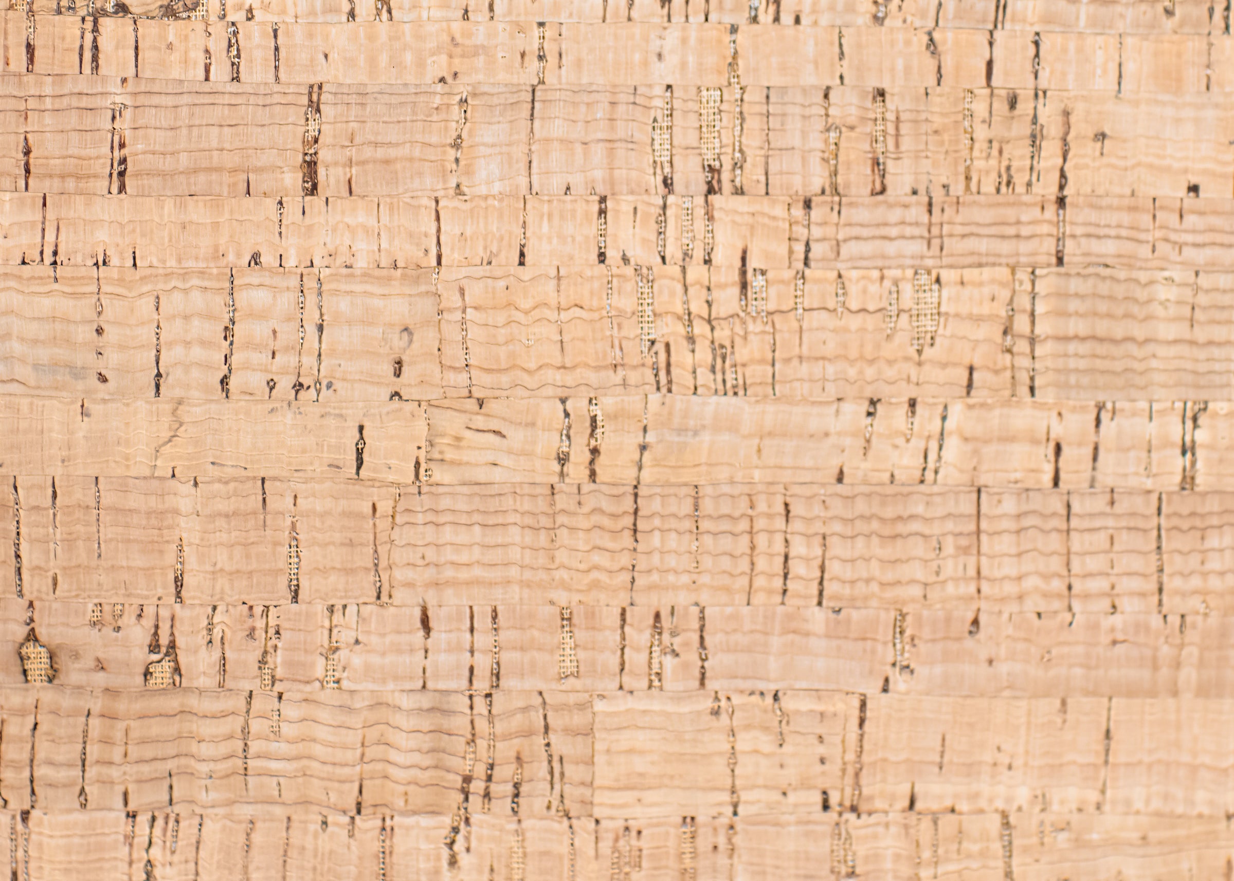 Butler Cork Backpack - Natural | KORK Goods